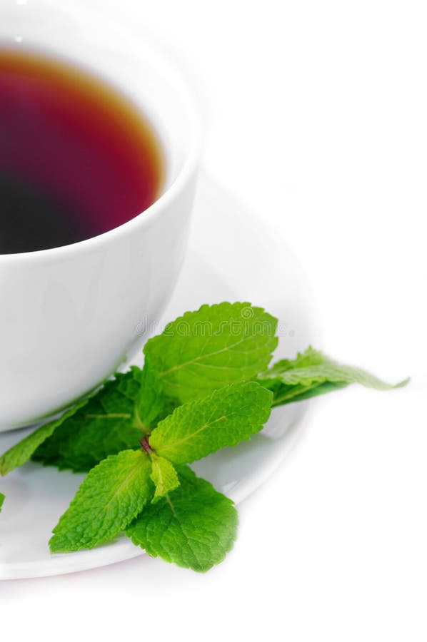 Black tea with mint. stock image. Image of health, herb - 11840525