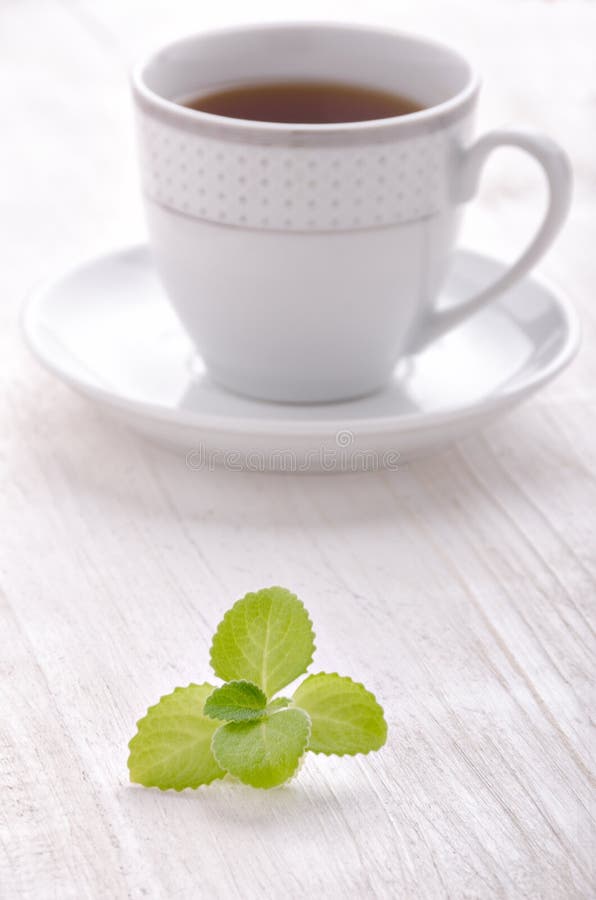 Black Tea with Mint. Highest Class Tea. Stock Image - Image of table ...