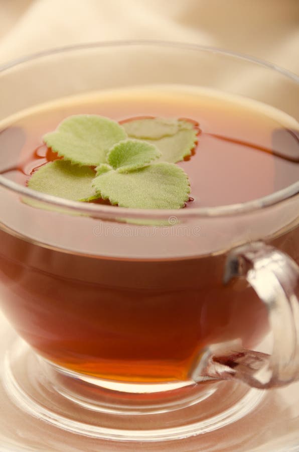 Black Tea with Mint. Relaxing Atmosphere. Stock Image - Image of ...