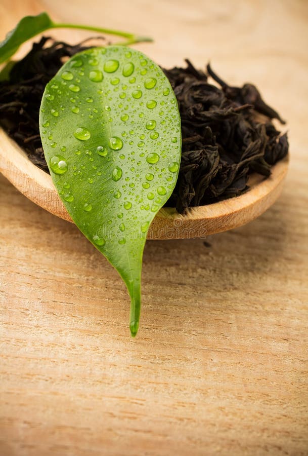Black tea. stock photo. Image of organic, green, plant - 31463674