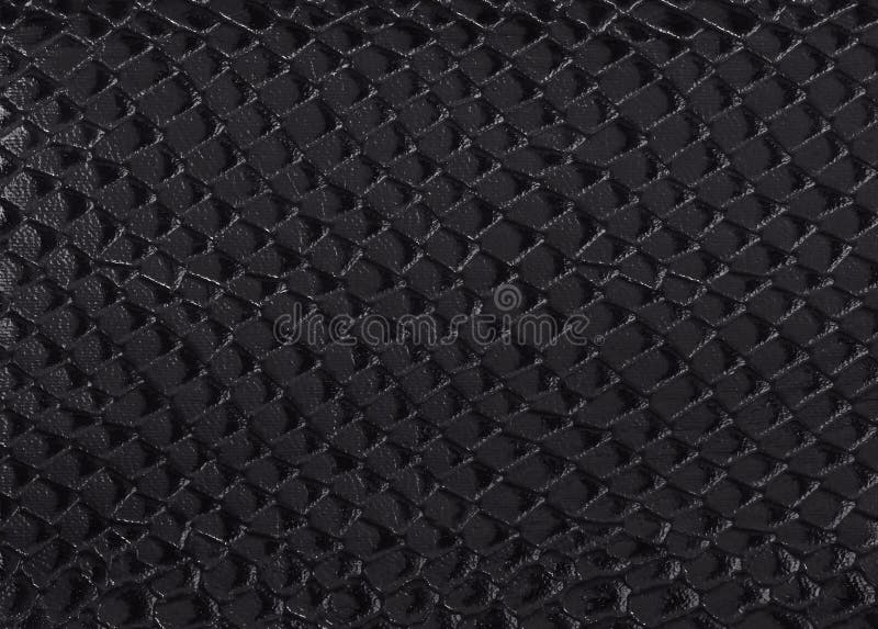 Black texture snake skin stock photo. Image of color - 89719066