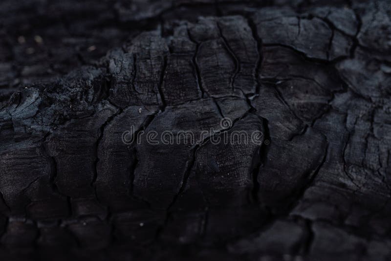 The Black Texture of the Burnt Tree Bark Stock Image - Image of burned ...