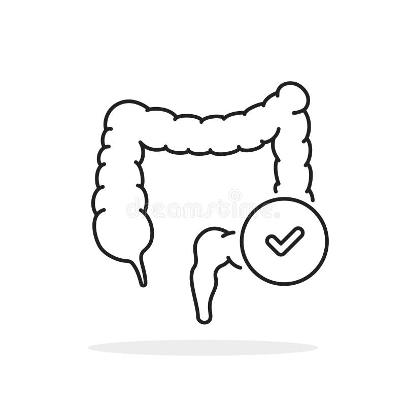 Black Thin Line Intestines Icon with Check Mark Stock Vector ...