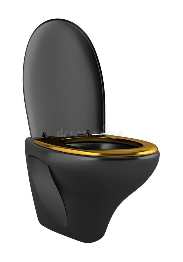Black Toilet or Wc from Side or Front View or Isometric Isolated on a ...