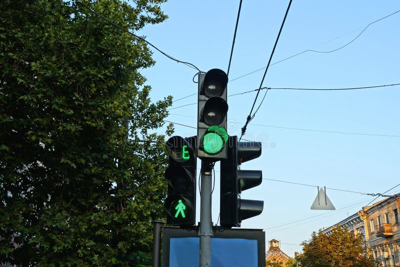 Black Traffic Light on a Pole with Green Light among Branches with ...