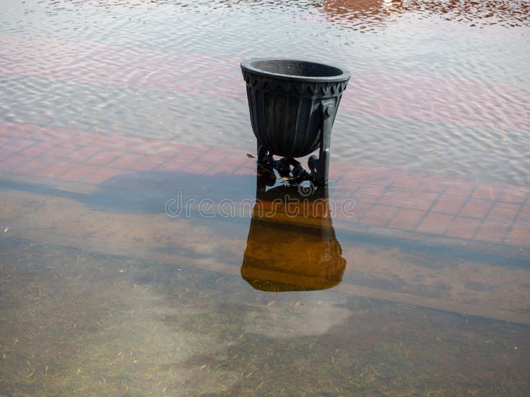 Black Trash Can in a Puddle with Reflection on Water. Stock Photo ...