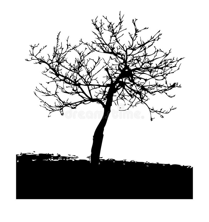 Vector Tree Black Outline stock vector. Illustration of isolated - 3943029