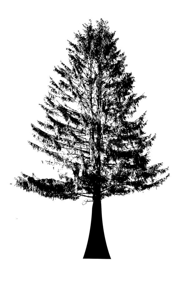 Black Tree Royalty Free Stock Photo - Image: 7083415