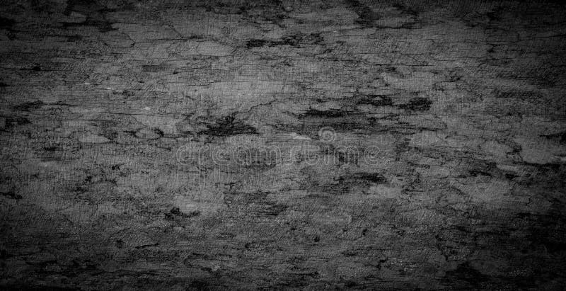 Black Tree Bark Background Natural Beautiful Old Tree Bark Texture ...