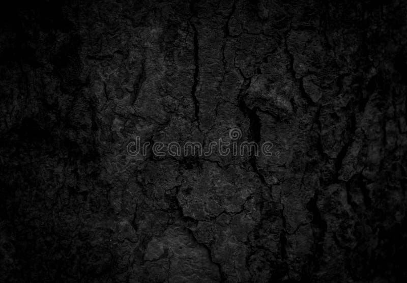 Black Tree Bark Background Natural Beautiful Old Tree Bark Texture ...