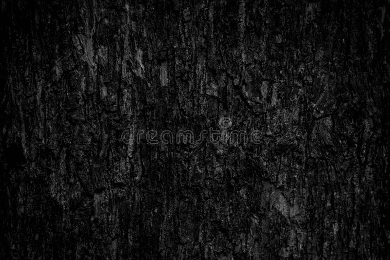 Black Tree Bark Background Natural Beautiful Old Tree Bark Texture ...