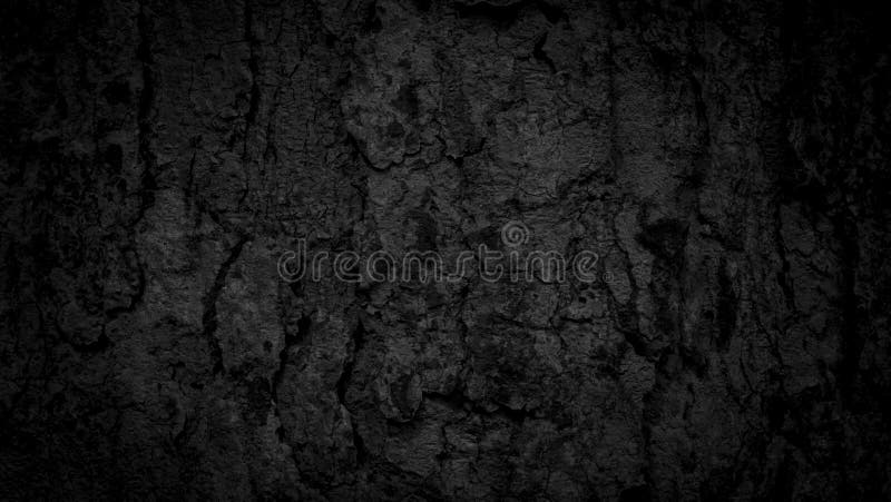 Black Tree Bark Background Natural Beautiful Old Tree Bark Texture ...
