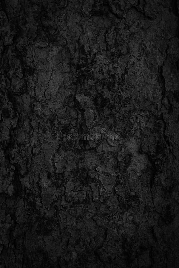 Black Tree Bark Background Natural Beautiful Old Tree Bark Texture ...