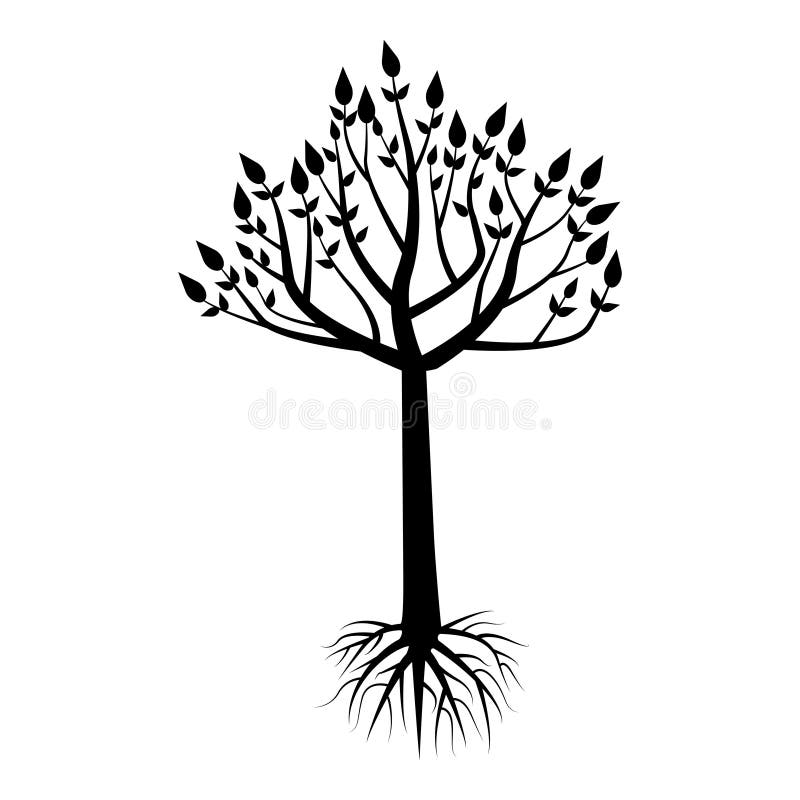 Long Roots Tree Stock Illustrations – 119 Long Roots Tree Stock ...