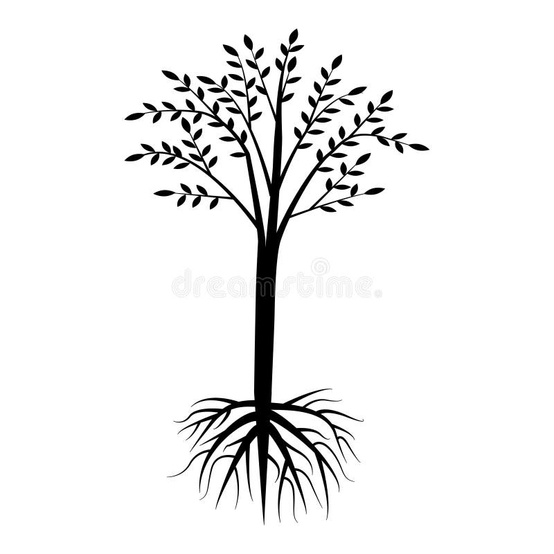 Long Root Tree Vector Stock Illustrations – 154 Long Root Tree Vector ...