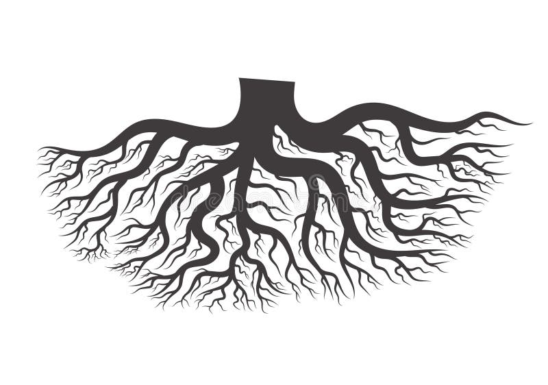 Black tree root. stock vector. Illustration of feed - 107409517
