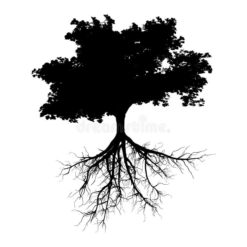 Black White Tree Roots Stock Illustrations – 7,224 Black White Tree ...