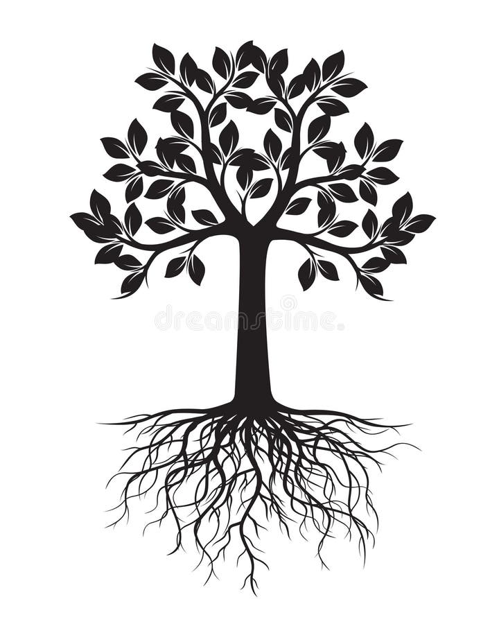 Set of White Trees with Roots. Vector Illustration. Stock Vector ...