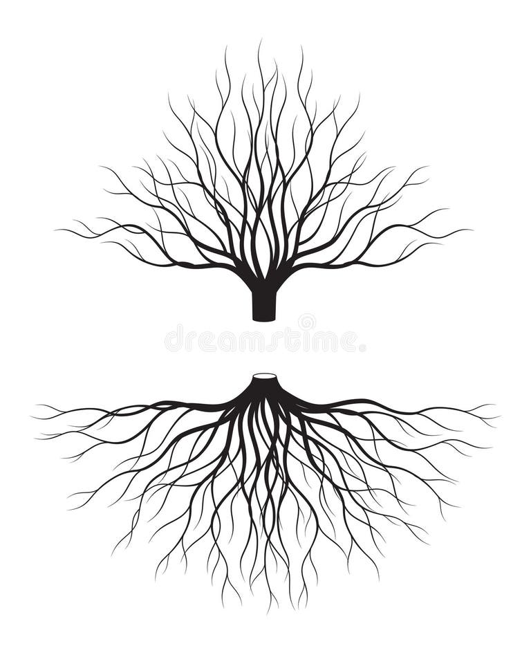 Background Roots Transparent Tree Stock Illustrations – 227 Background ...
