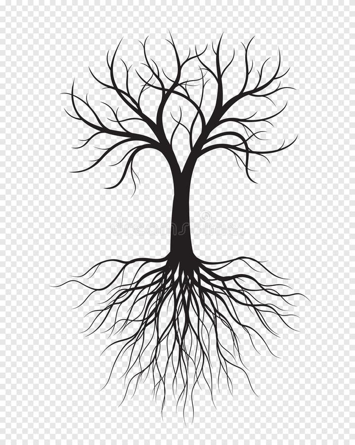 Background Roots Transparent Tree Stock Illustrations – 205 Background ...
