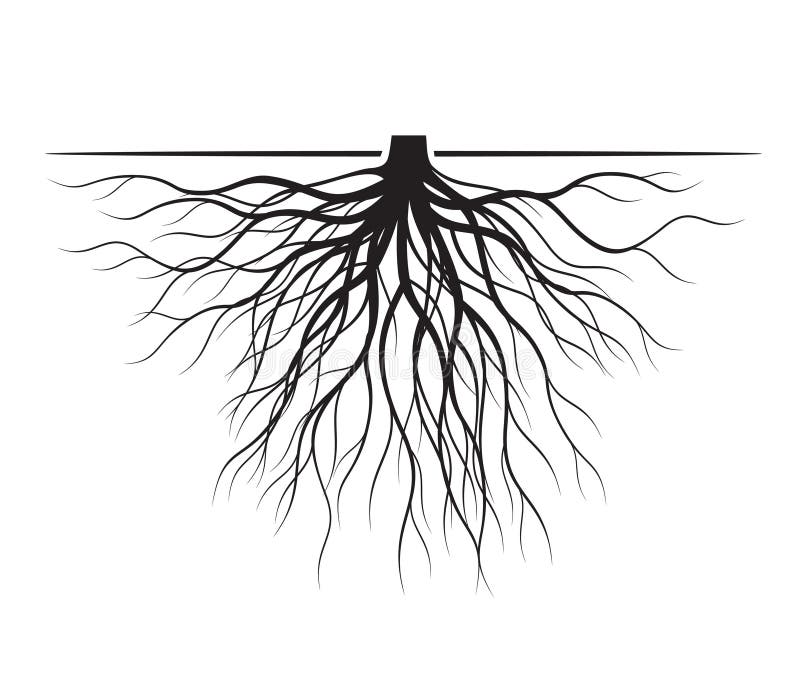 Black Tree Roots. Vector Illustration Stock Vector - Illustration of ...