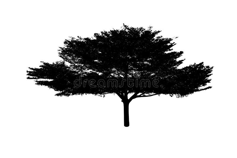 34,413 Black Shadow Tree Photos - Free & Royalty-Free Stock Photos from ...