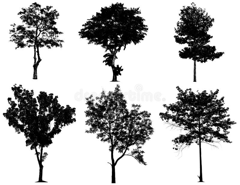 Black Tree Silhouettes Collection Isolated on White Background Stock ...