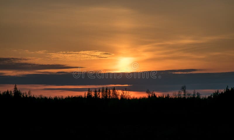 Black Tree Silhouettes on a Colorful Sunset Sky Stock Image - Image of ...