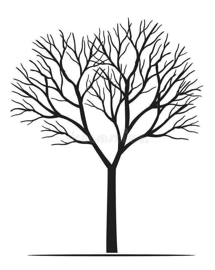 Black Tree. Vector Outline Illustration. Plant in Garden Stock Vector ...
