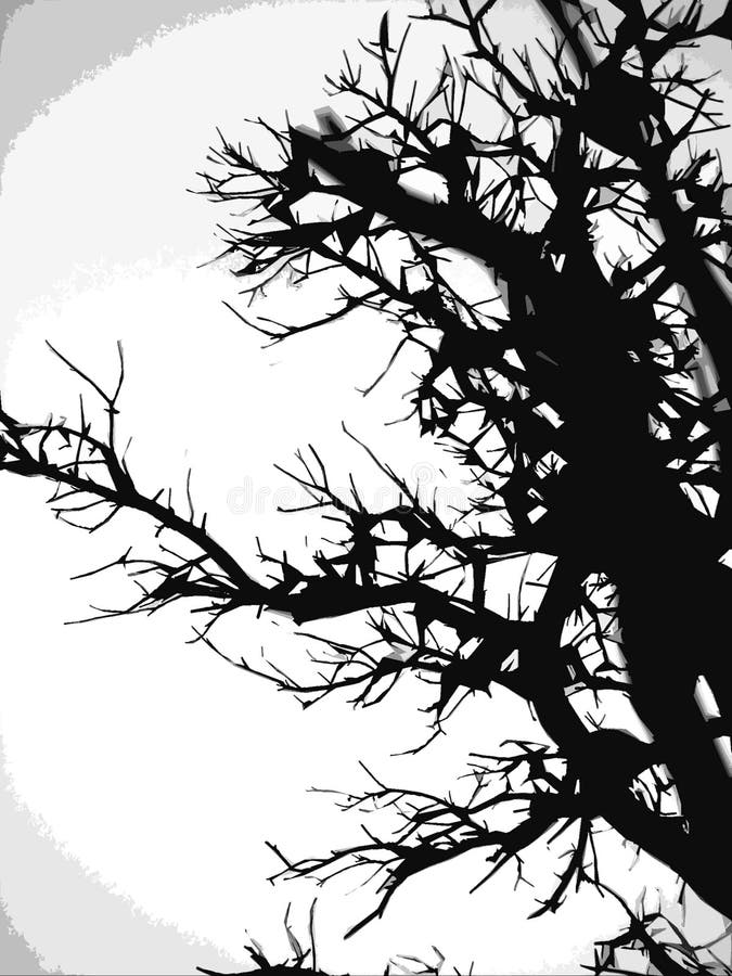 Black Tree/White Moon stock illustration. Illustration of night - 4126108