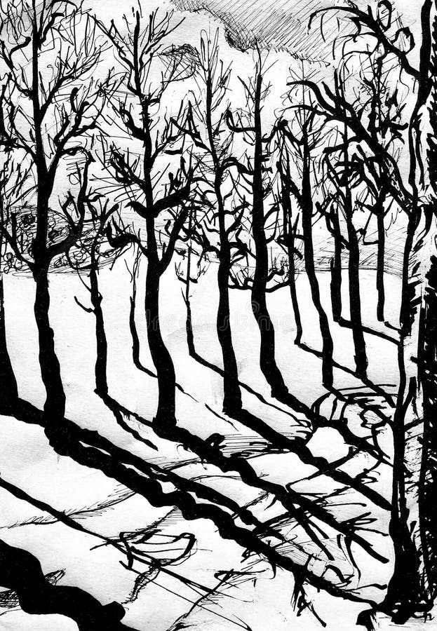 A drawing of a tree stock illustration. Illustration of hatching - 11528150