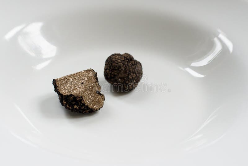 Black truffle stock image. Image of ingredient, black - 102824635