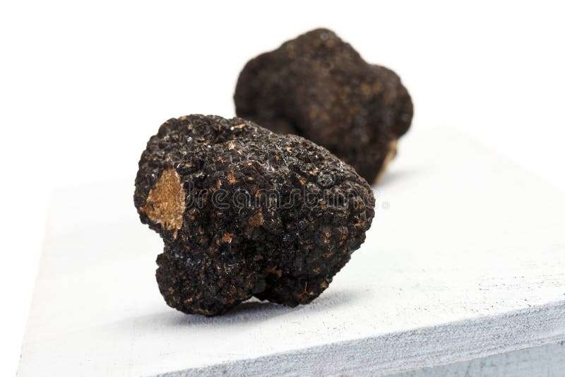 Black truffles stock photo. Image of flavorful, closeup - 50491530