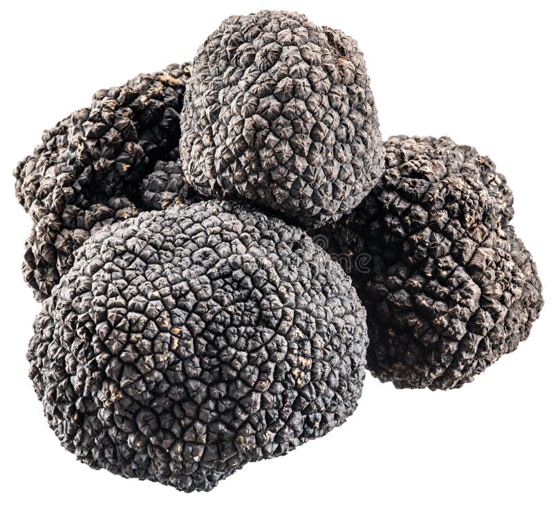 Black Truffles and Truffle Slices on a Graphite Board. Stock Image ...