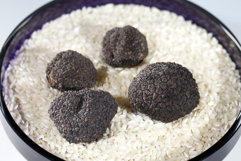 Black Truffles Group Slices White Stock Photos - Free & Royalty-Free ...