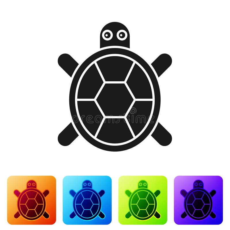 Black Turtle Icon Isolated on White Background. Set Icons in Color ...