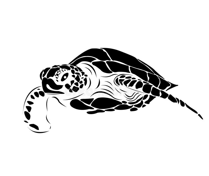 Cartoon Turtle Front Stock Illustrations – 79 Cartoon Turtle Front ...