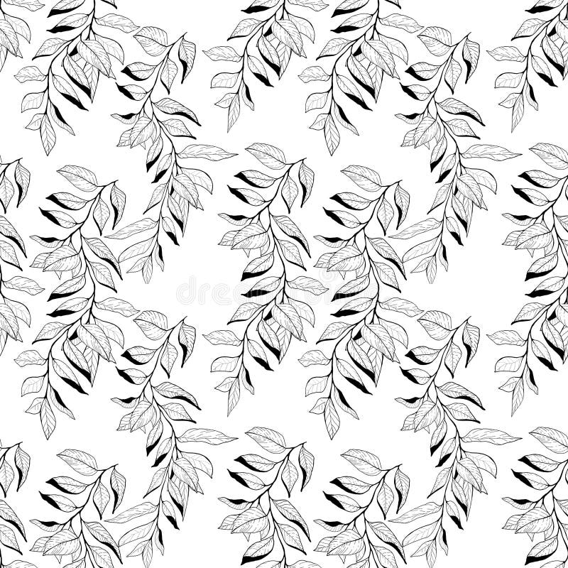 Black Twigs, White Background, Graphic Pattern Stock Illustration - Illustration of graphic ...