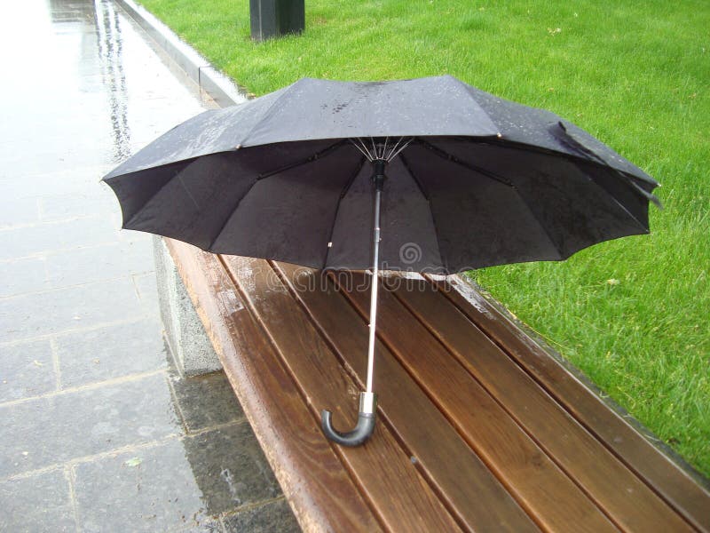 Black Umbrella on the Bench Stock Photo - Image of park, dome: 220596960