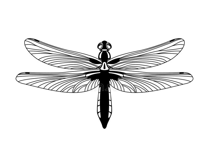 Dragonfly Icon in Cartoon Style Isolated on White Background. Insects ...