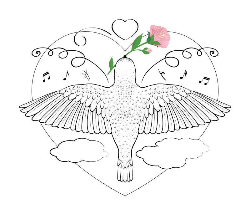 Black Vector Linear Graphic Drawing of the Back Side of a Bird with a ...