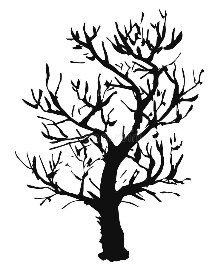 Black Vector Outline of a Deciduous Tree without Leaves is a Simple ...