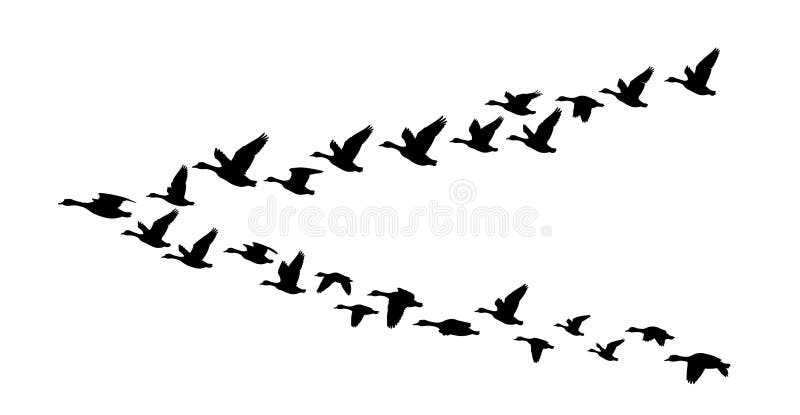 Geese Silhouette Black White Stock Illustrations – 769 Geese Silhouette ...