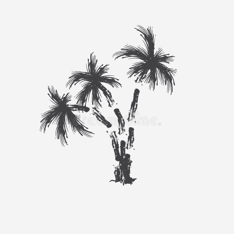 Black Vector Single Palm Tree Silhouette Icon Isolated Stock Vector ... Black Vector Single Palm Tree Silhouette Icon Isolated Stock Vector ...