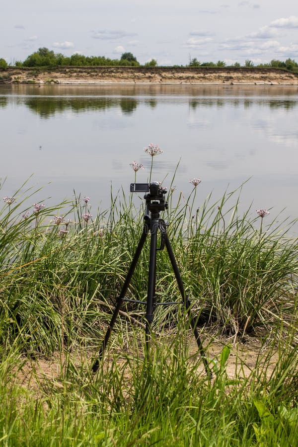 Black Video Camera on a Tripod and a Beautiful Summer Landscape with a ...
