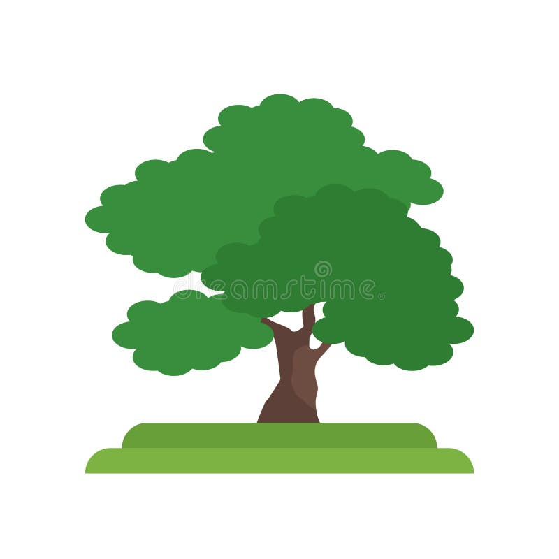 Black Walnut Tree Icon Vector Sign and Symbol Isolated on White Stock ...