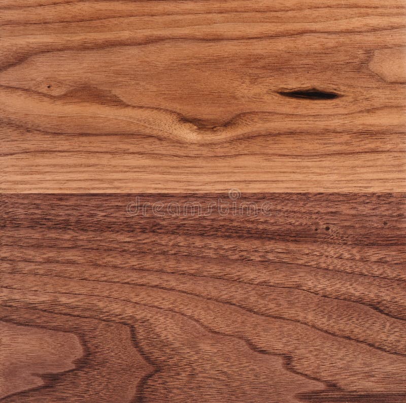 Black Walnut Wood Texture with Oil Finish Stock Photo - Image of grain ...