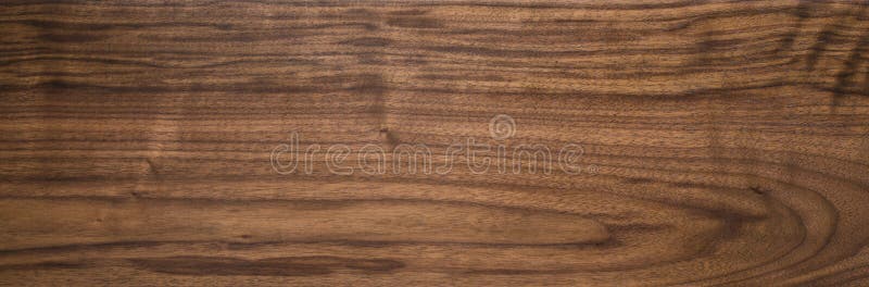 Black walnut saw logs stock image. Image of trunk, environment - 43153349