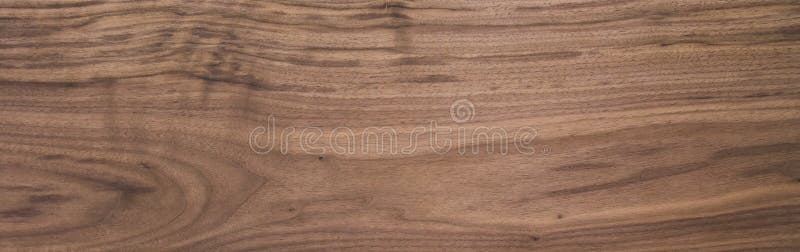 Black Walnut Wood Texture