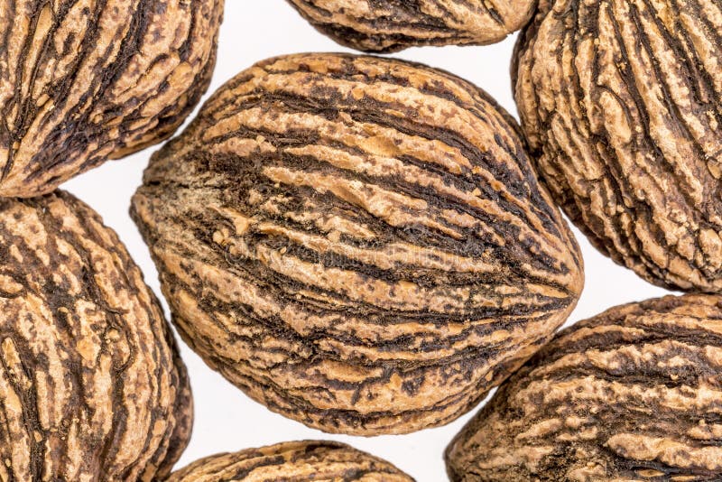 Black walnuts abstract stock image. Image of shell, texture - 47820685